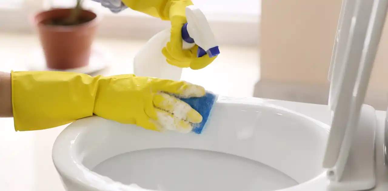 Un minuto es todo lo que necesitas para lograr que tu inodoro esté ...