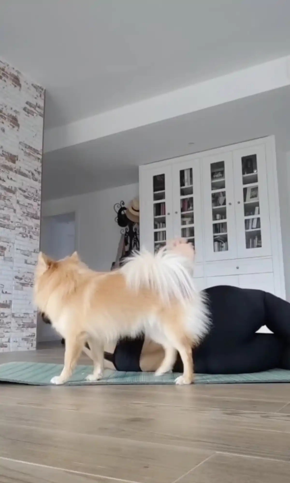 El rincón favorito de Chenoa para practicar deporte en casa: con una ...