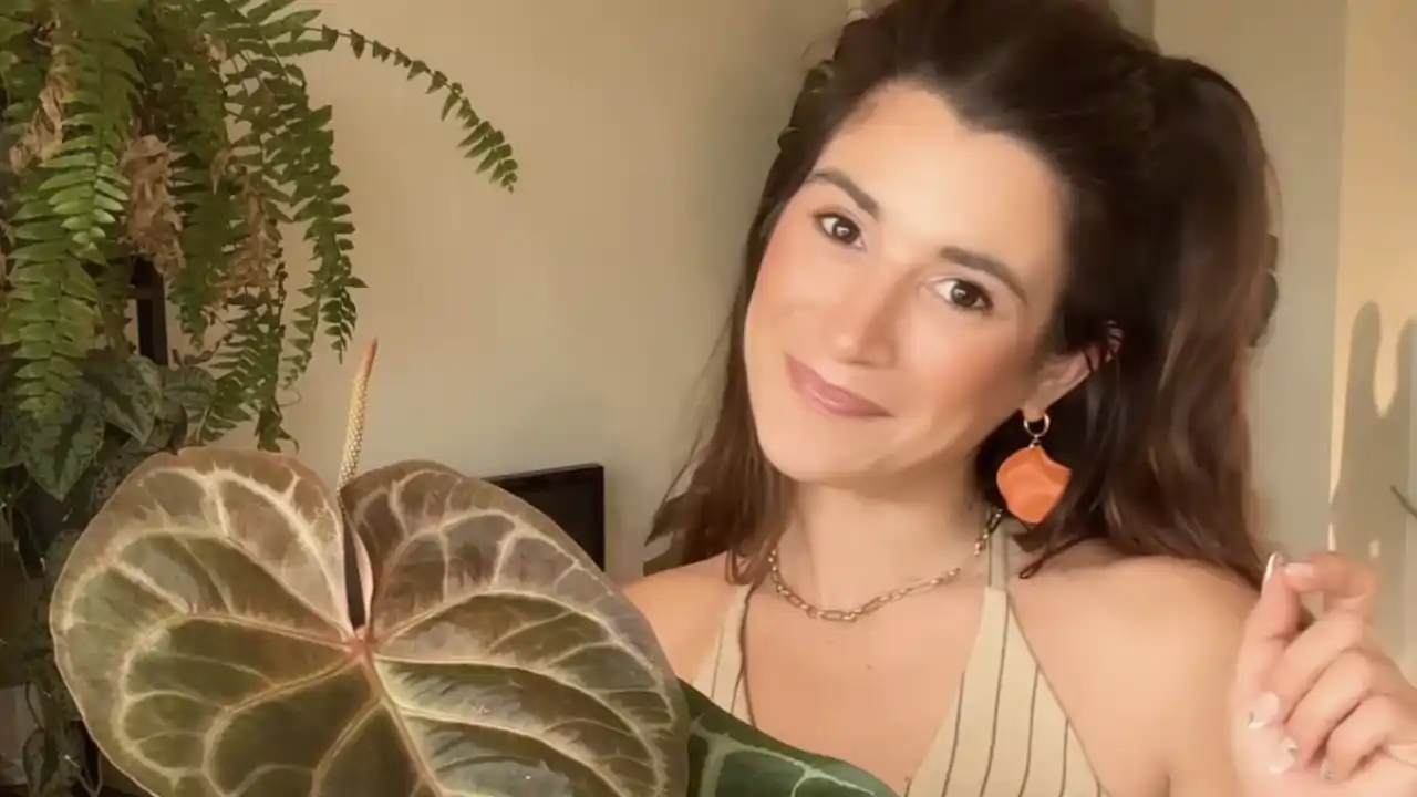 La experta en jardinería Clara Redondo cuenta las 10 cosas que le ...